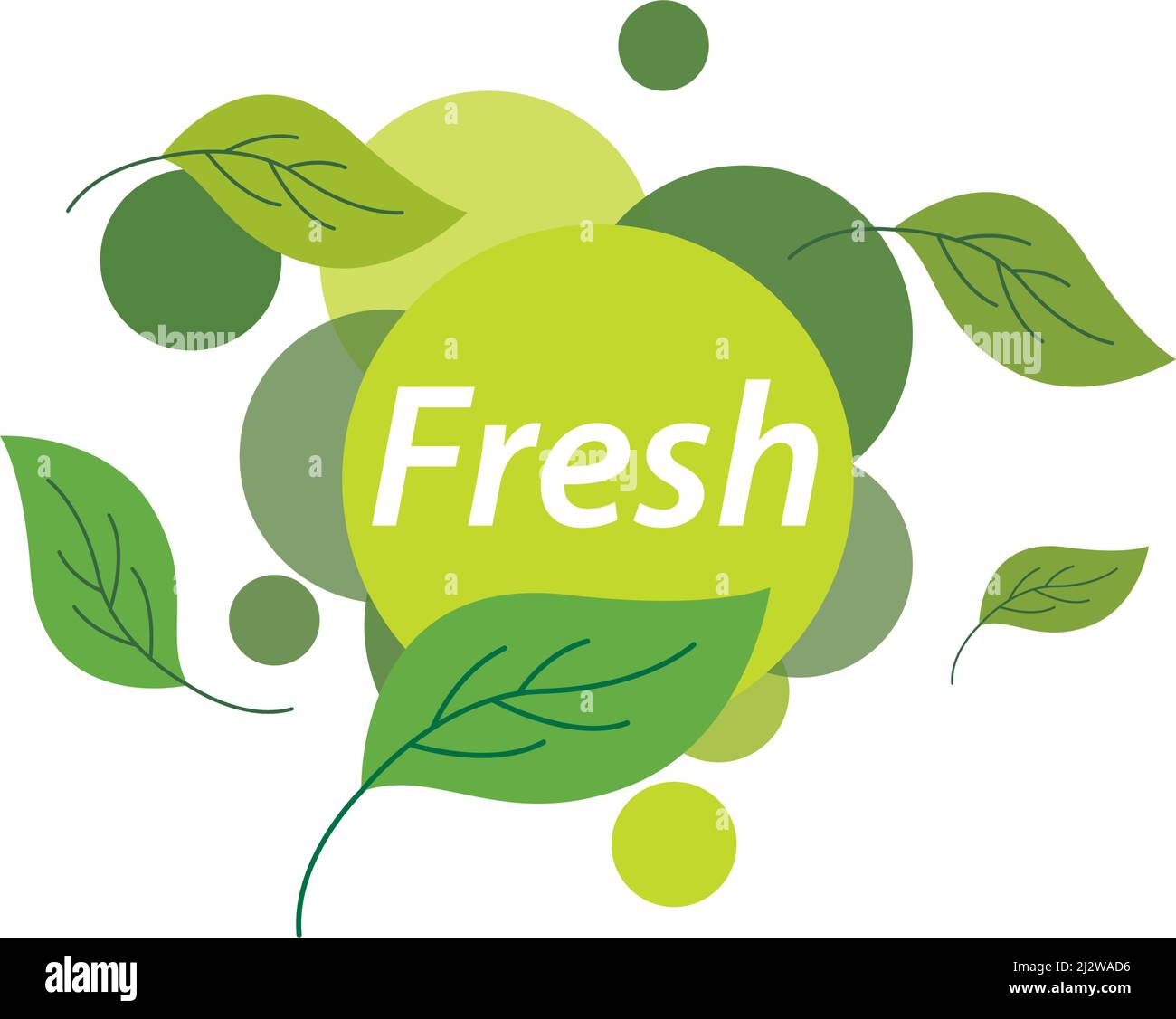 Logo frais Banque d'images vectorielles - Alamy