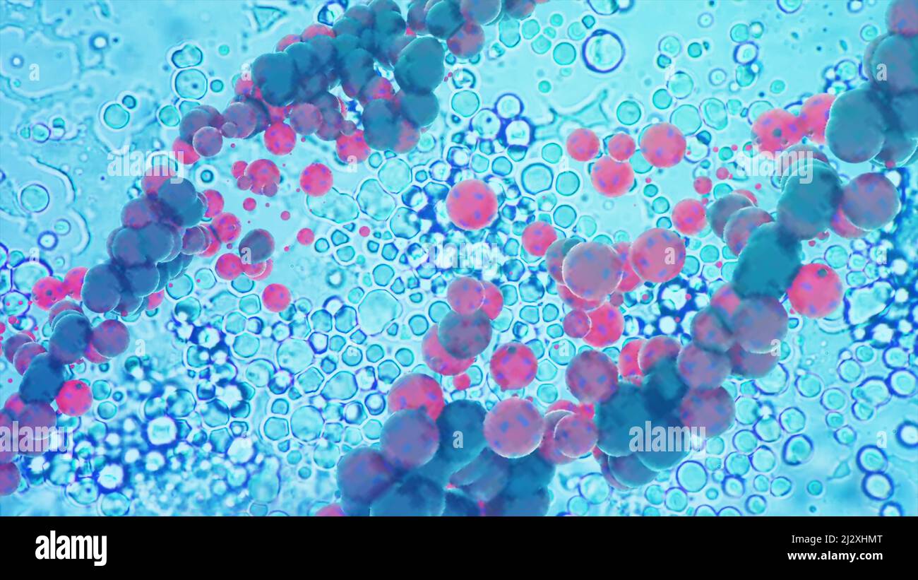 Anatomie microscopique Banque de photographies et d’images à haute ...