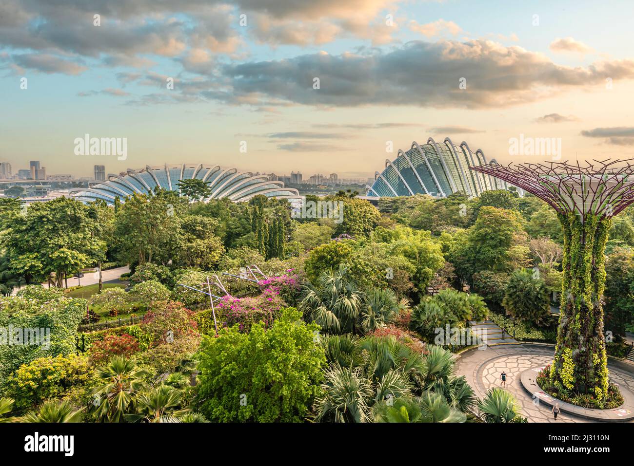 Supertrees singapour buildings Banque de photographies et d’images à ...