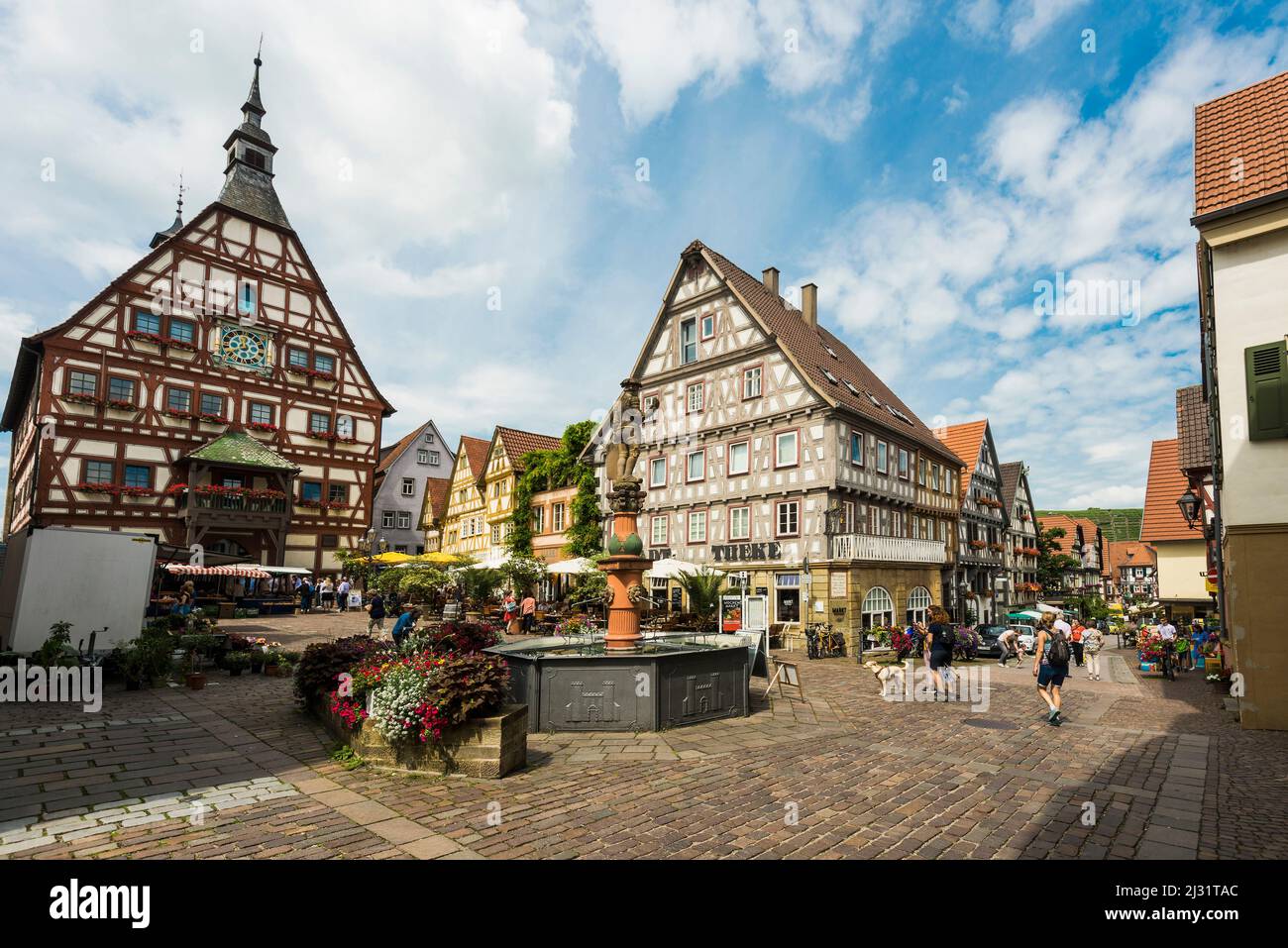 Vue sur la ville, Besigheim an der Enz, Neckar, Bade-Wurtemberg ...