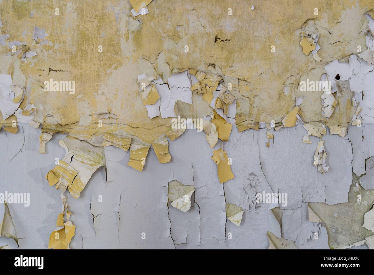 Épluché le papier peint sur un mur jaune. Arrière-plan d'un intérieur ...