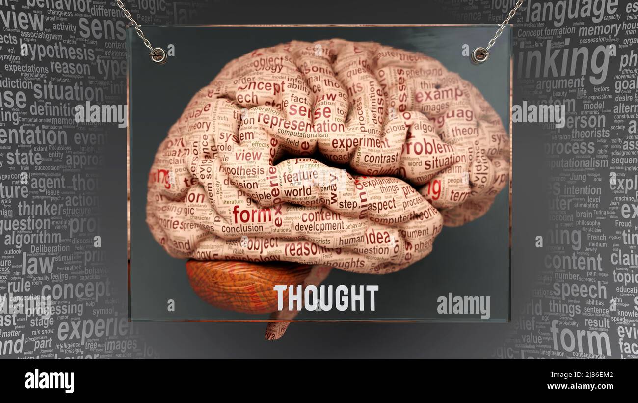 Pensée dans le cerveau humain - des dizaines de termes importants ...