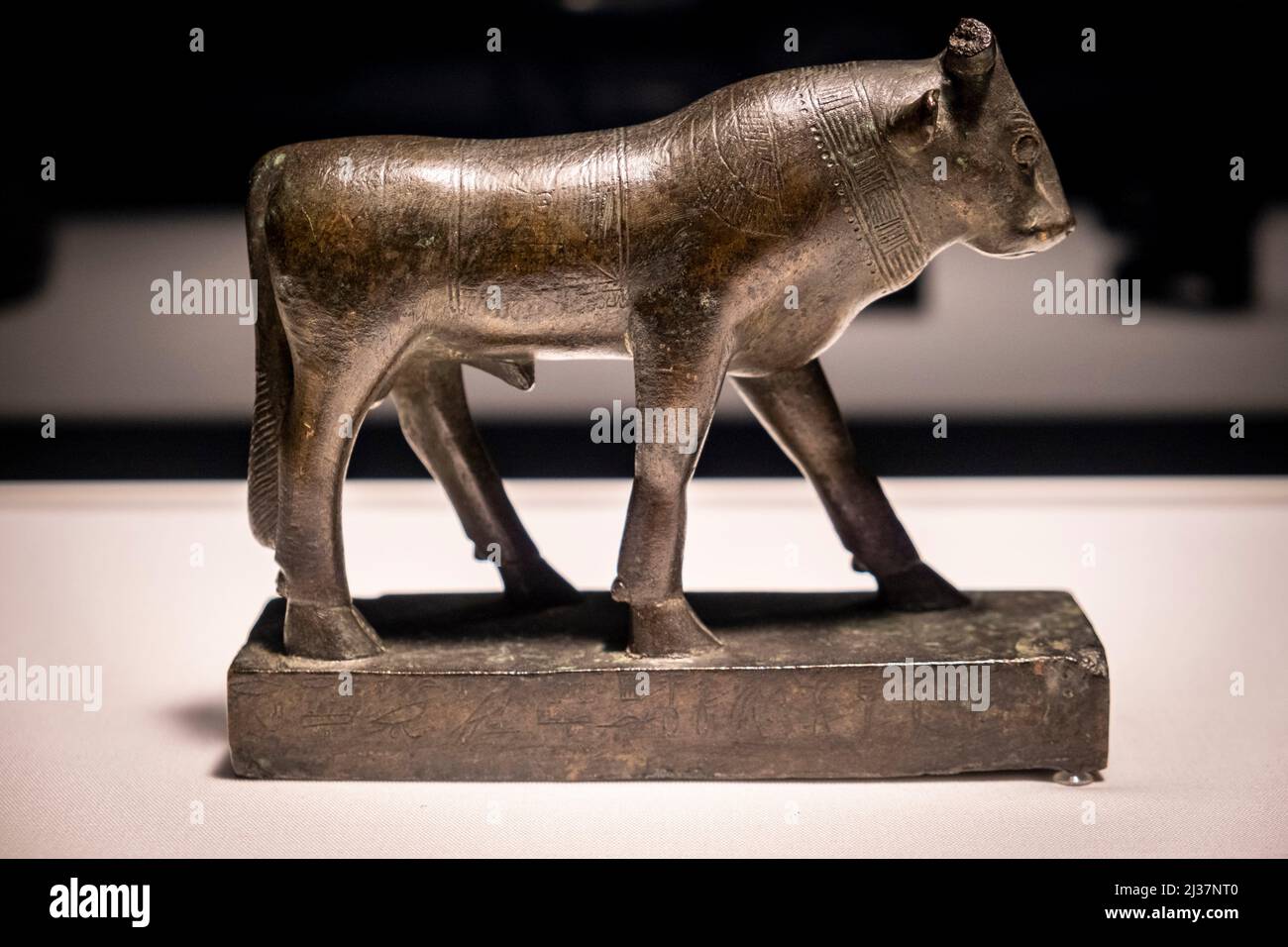 Egypt apis Banque de photographies et d’images à haute résolution - Alamy