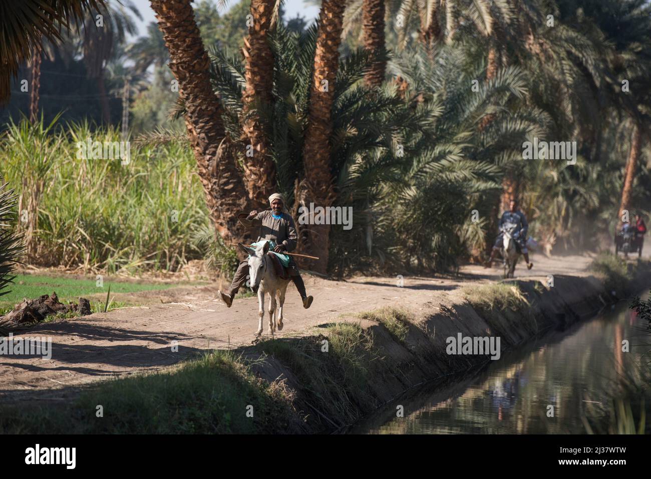 Irrigation canal egypt Banque de photographies et d’images à haute ...