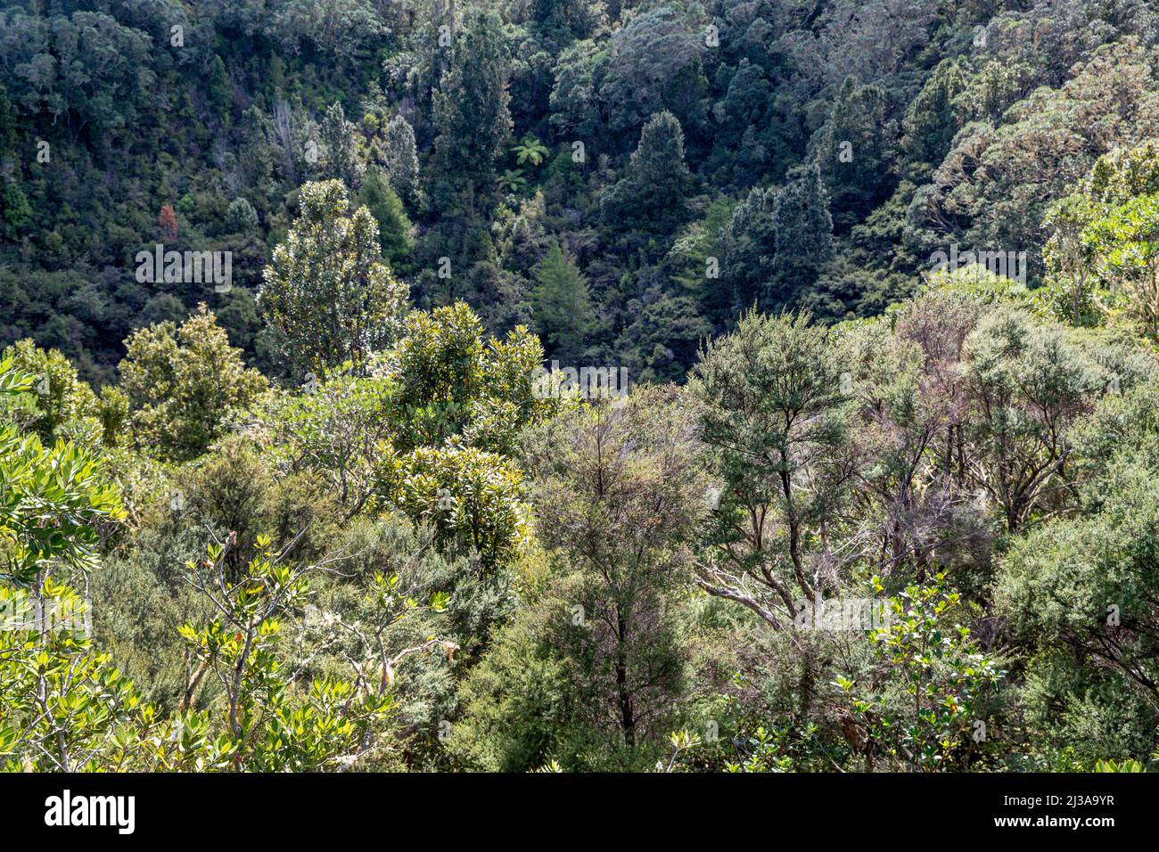 île volcanique Banque de photographies et d’images à haute résolution ...
