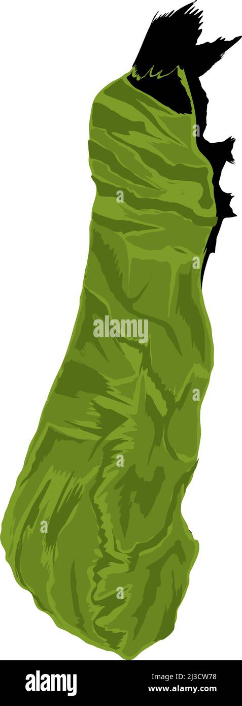 Chrysalide illustration Banque d'images vectorielles - Alamy