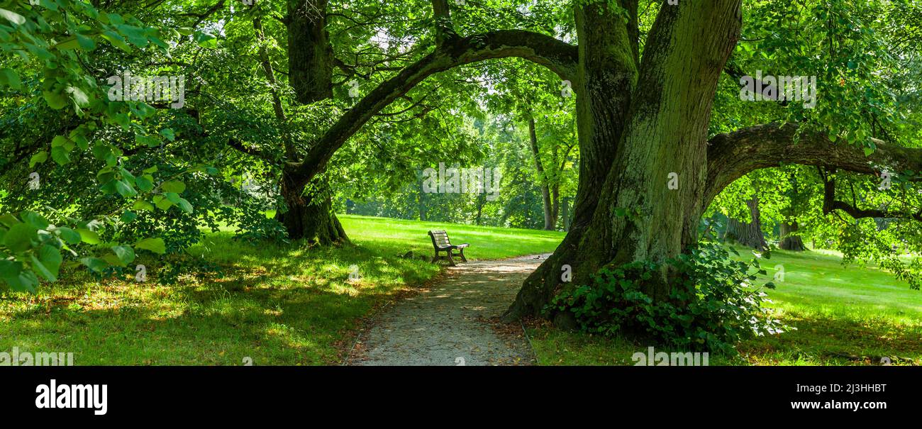 Banc de repos Banque de photographies et d’images à haute résolution ...