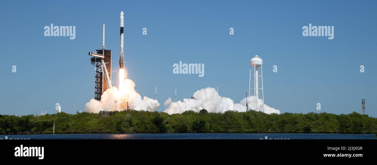 Floride, États-Unis. 08th avril 2022. Une fusée SpaceX Falcon 9 ...