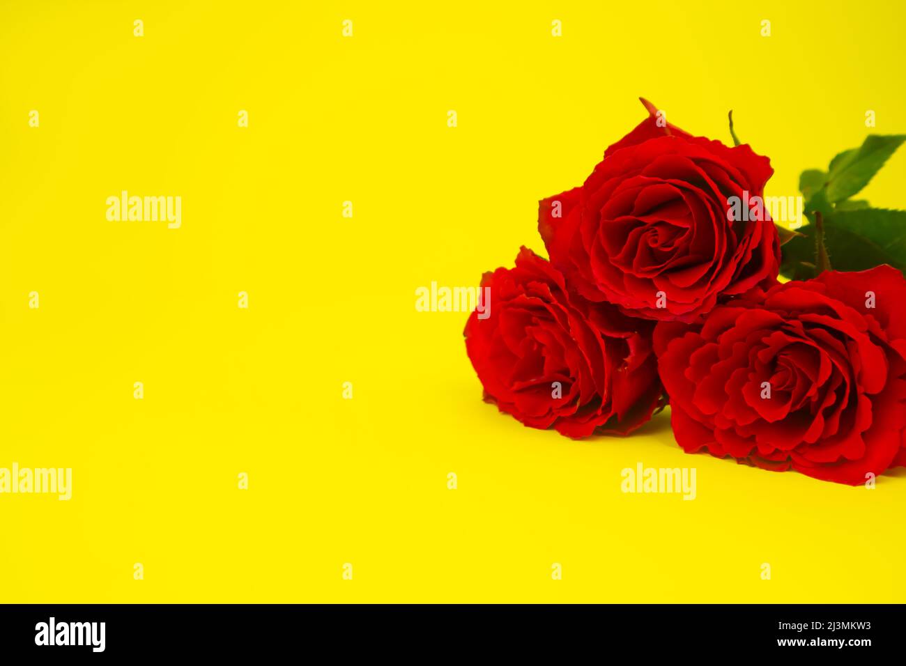 Carte de remerciement avec des roses roses Banque de photographies et d ...