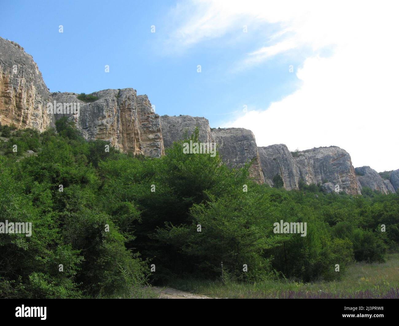 Gorge de serpent Banque de photographies et d’images à haute résolution ...