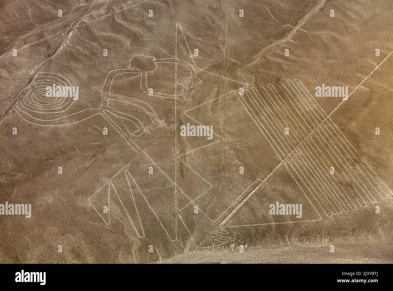 Le géoglyphe de singe, Nazca ou Nasca lignes mystérieuses et géoglyphes ...