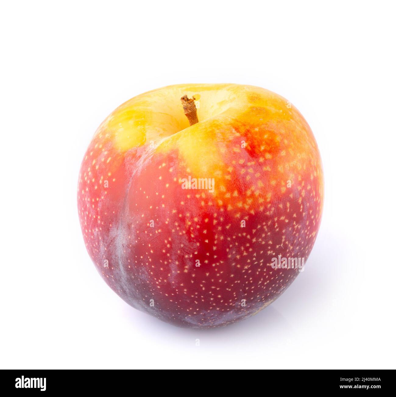 Rouge prune Banque de photographies et d’images à haute résolution - Alamy