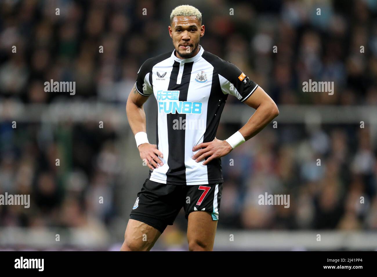 Joelinton de newcastle united Banque de photographies et d’images à ...