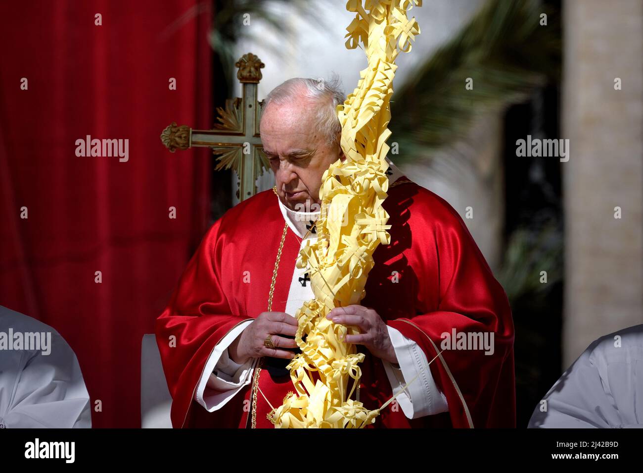 Le pape François célèbre la messe du dimanche des palmes sur la place ...