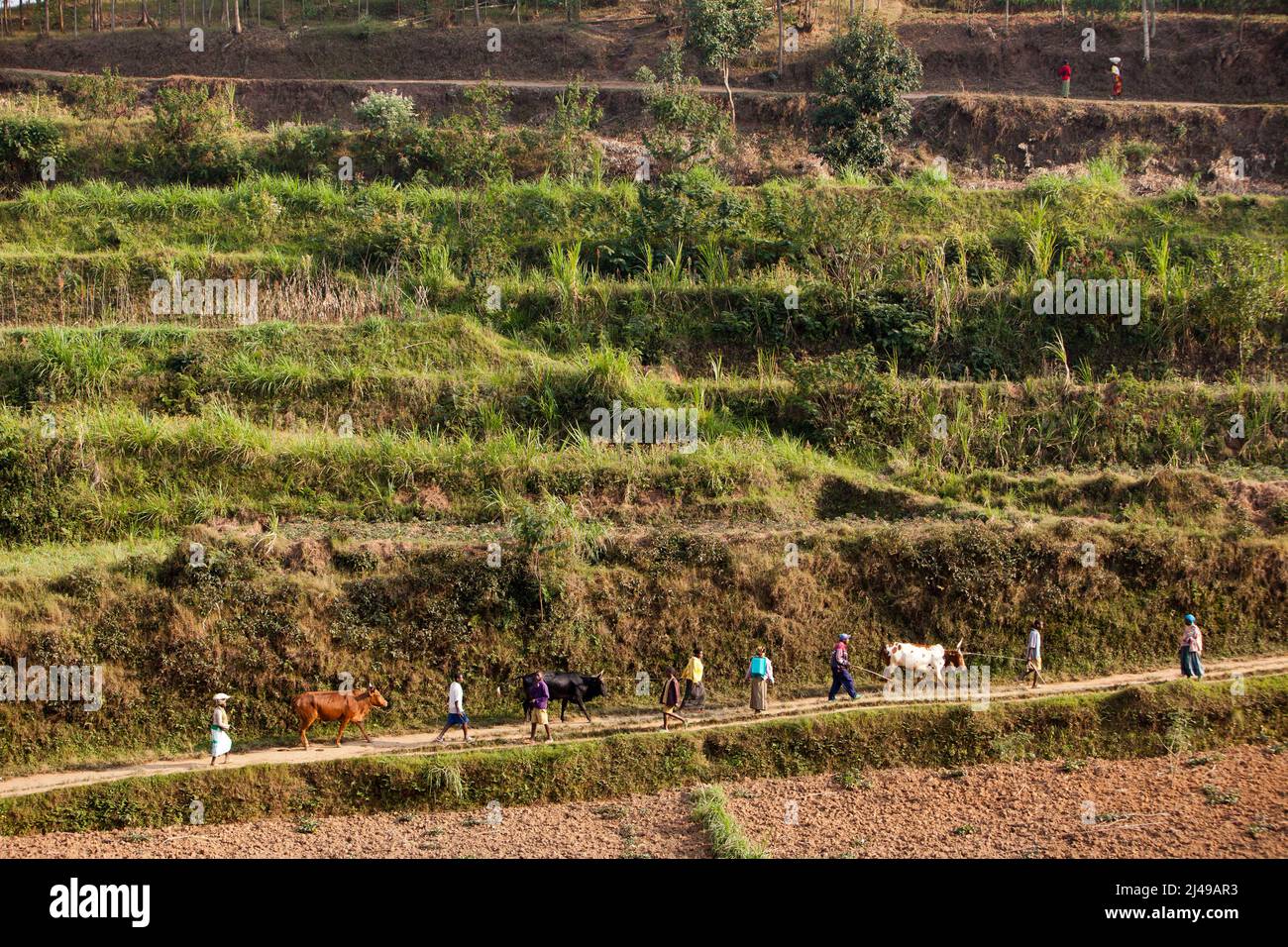 Les gens apportent leurs marchandises au marché du village de Bushoka ...