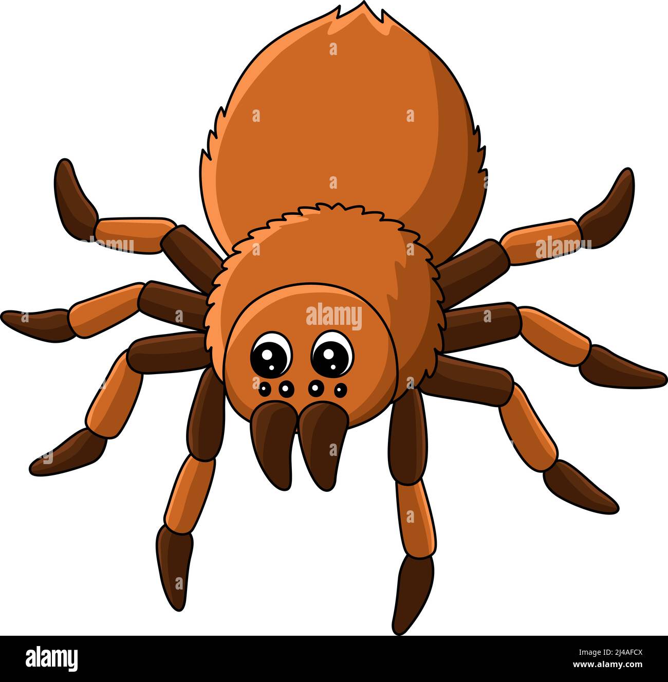 Dessin De Tarentule 6 500+ Tarentule Stock Illustrations, Graphiques