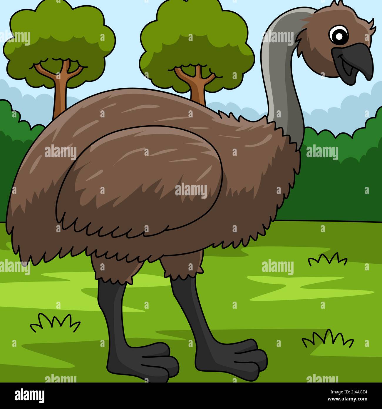 Emu bird Banque d'images vectorielles - Alamy