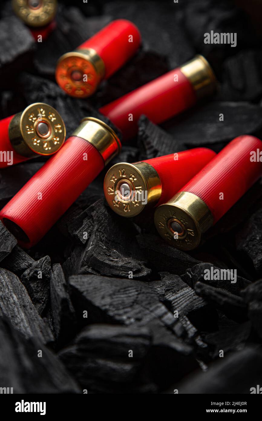 Cartouches de fusils sur charbon. Munitions pour armes à smoothbore de ...