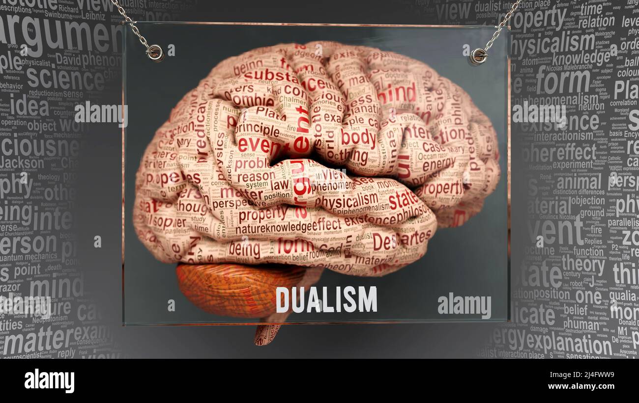 Dualisme dans le cerveau humain - des dizaines de termes importants ...