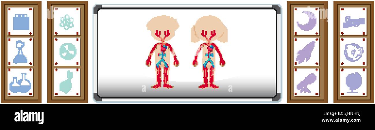 Carte montrant une illustration de l'anatomie humaine Image Vectorielle ...