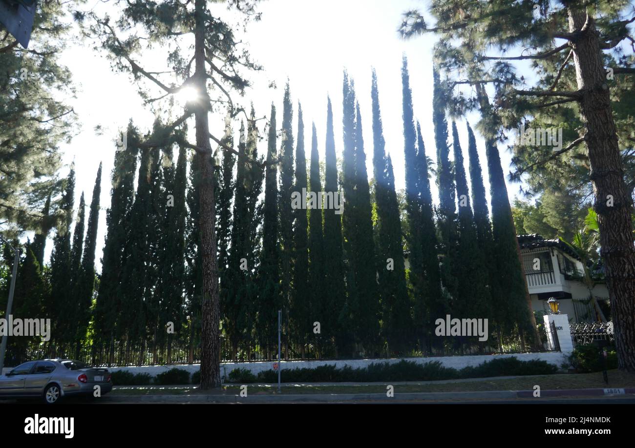 Charo and xavier cugat Banque de photographies et d’images à haute ...