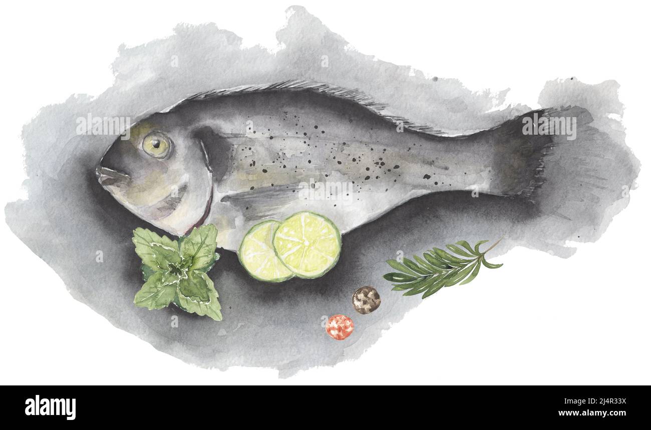 Illustration de poissons dessinés à la main aquarelle, menu du ...