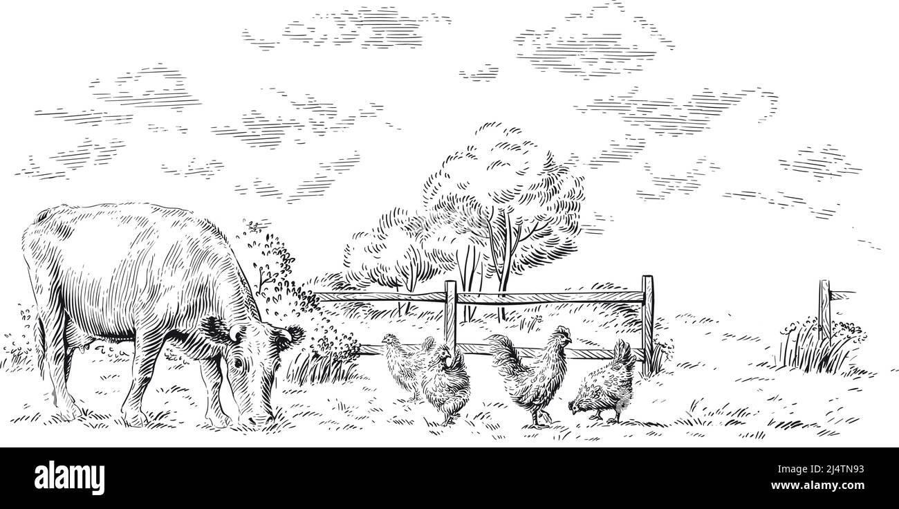 dessin main ferme esquisse gravure dessin illustration style vecteur ...