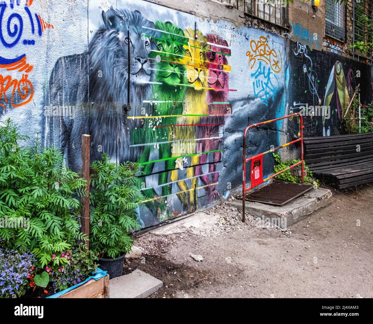 Art urbain et plantes dans des pots le long de la promenade au YAAM ...