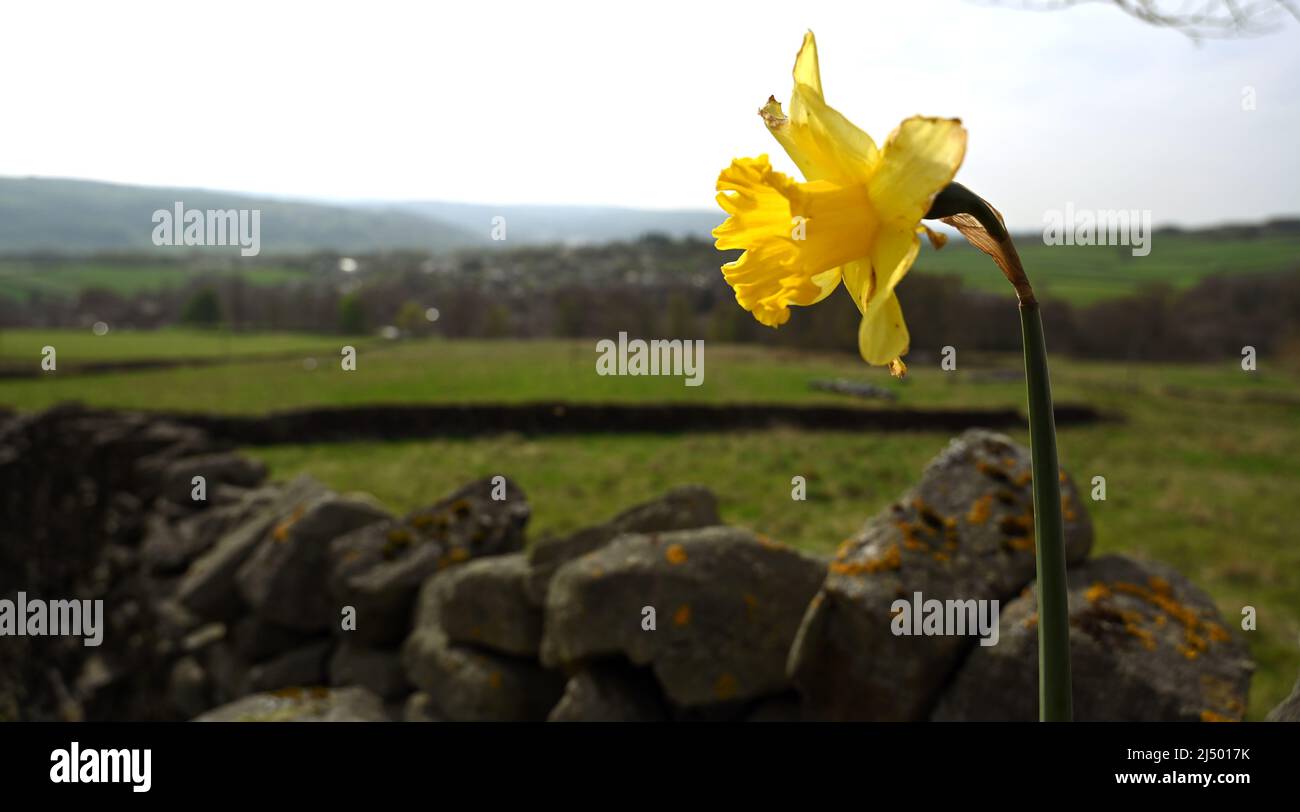 Carr lane Banque de photographies et d’images à haute résolution - Alamy