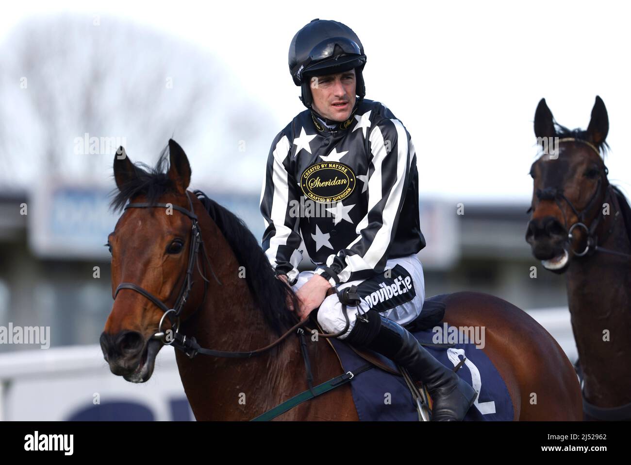 Jockey Brian Hughes avec le cheval Imperial Merlin après avoir gagné le ...