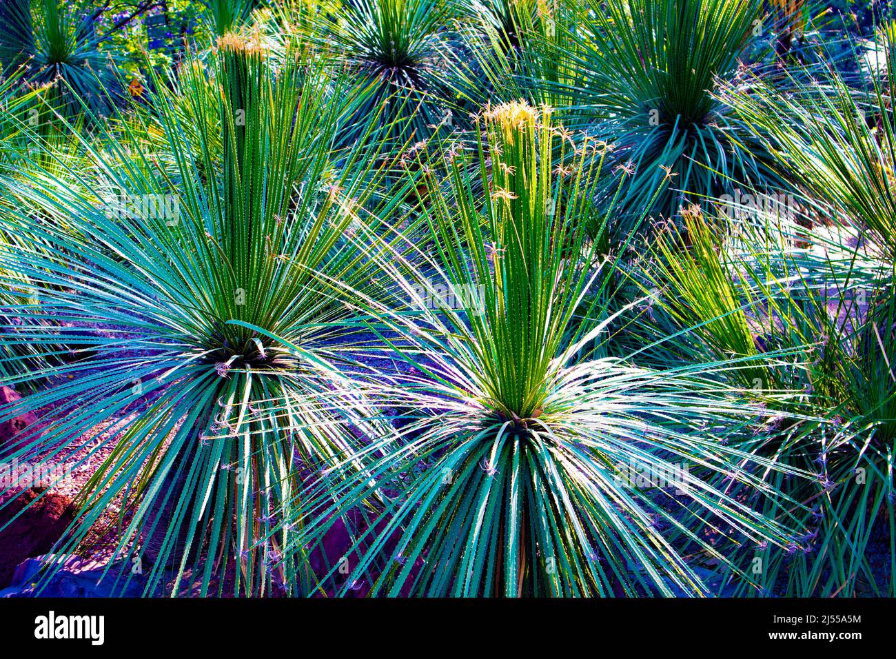 Climat chaud Banque de photographies et d’images à haute résolution - Alamy