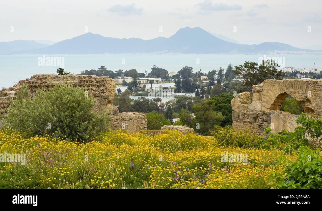 Carthage ancient roman wall ruin Banque de photographies et d’images à ...