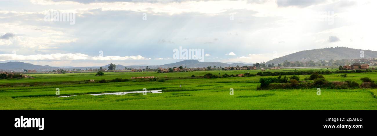 Paysage de rizière madagascar Banque de photographies et d’images à ...