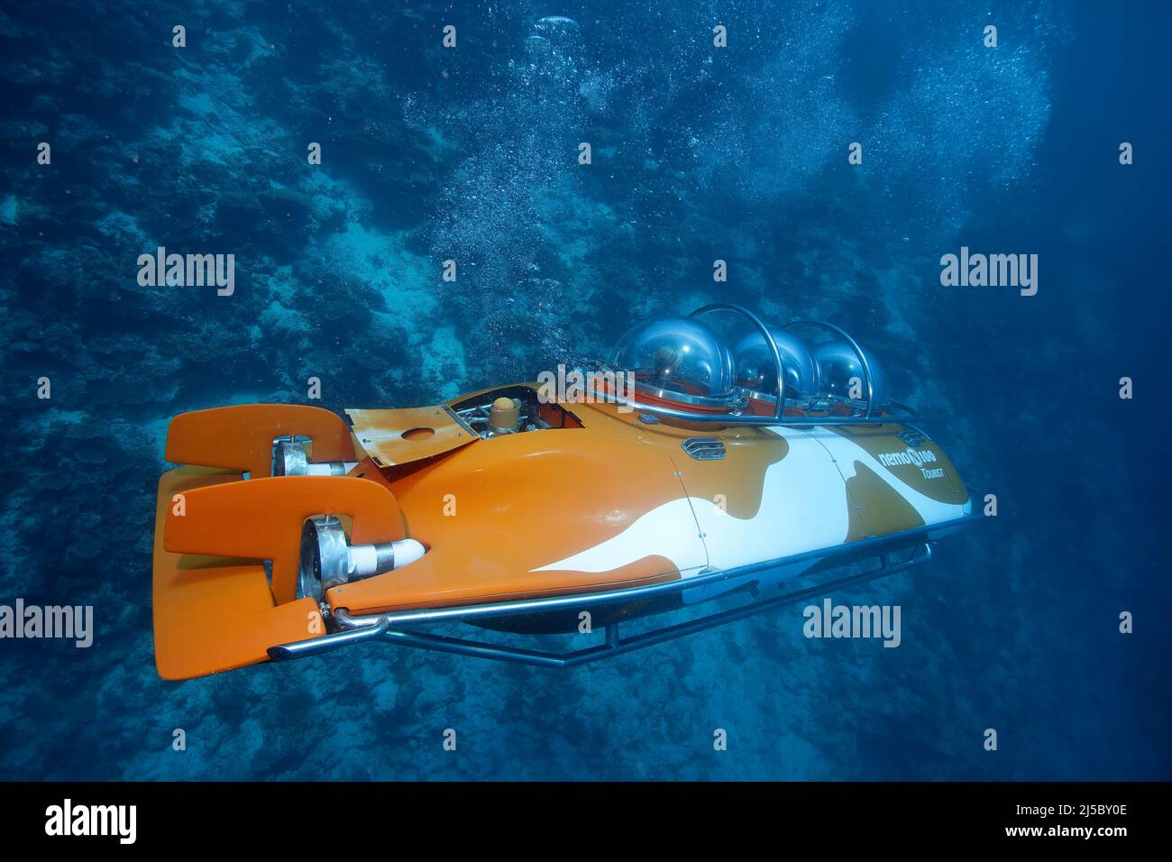 Touristes dans l'U-Boot Nemo 100, explorer un récif de corail des ...