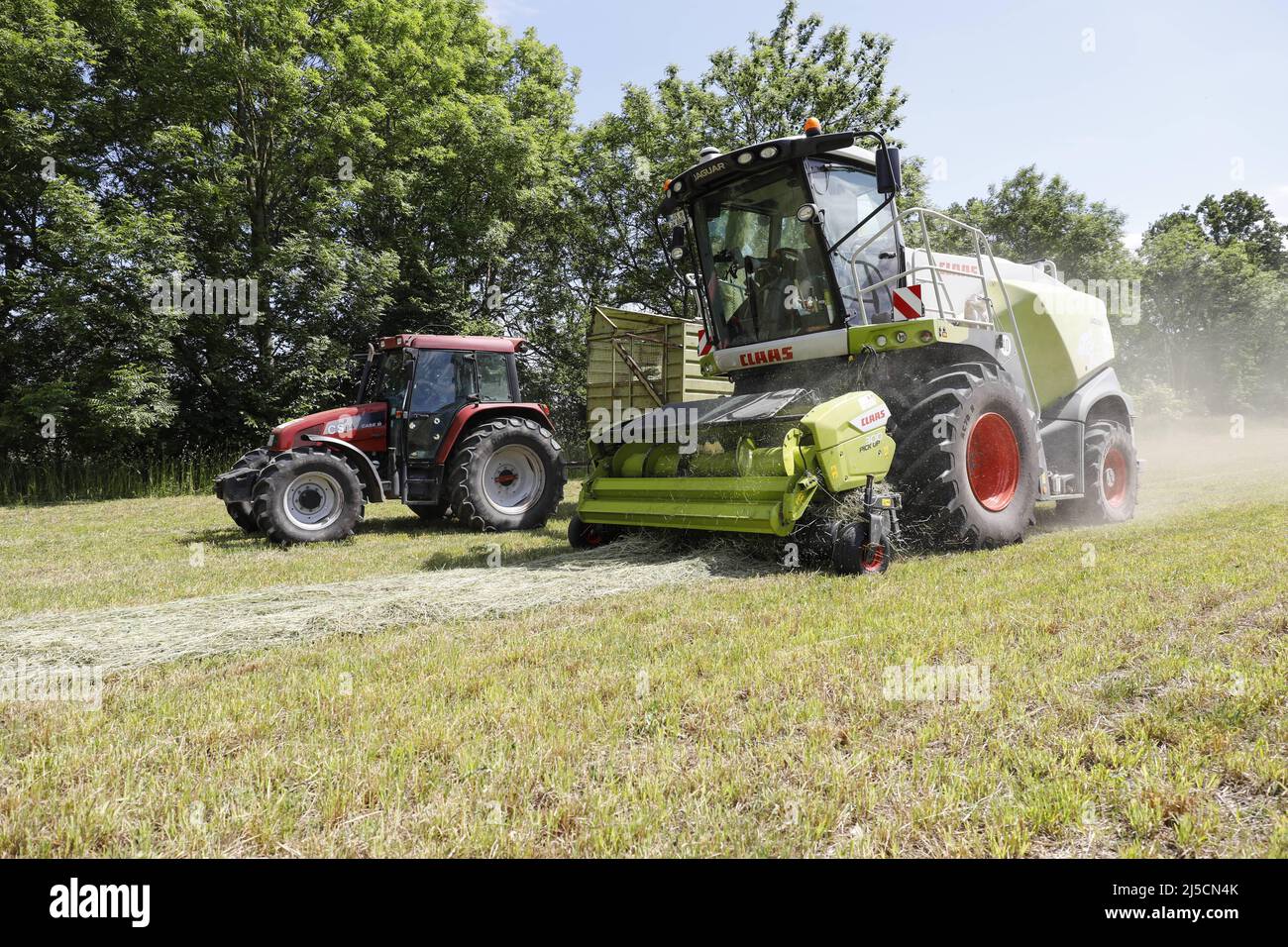 Muencheberg, DEU, 02.06.2020 - récolte de fourrage dans la ferme ...