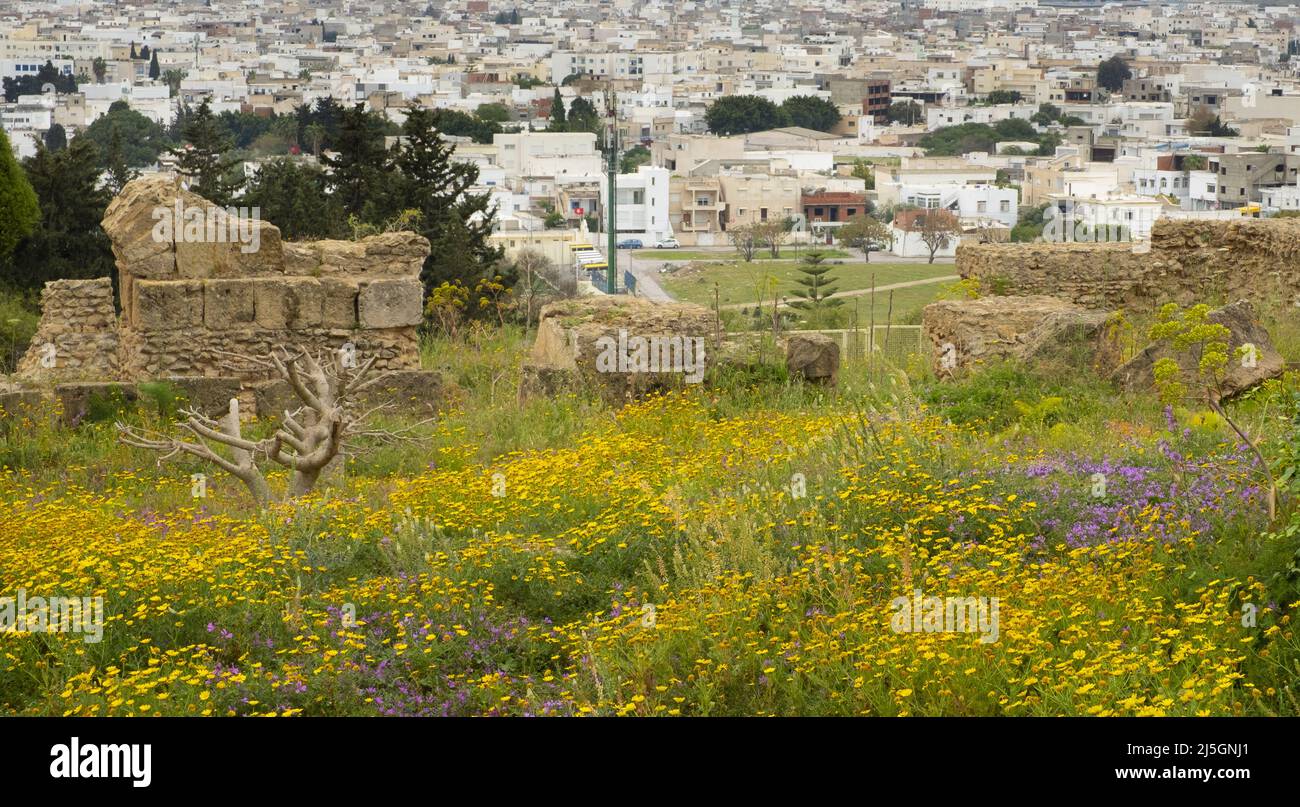 Carthage ancient roman wall ruin Banque de photographies et d’images à ...