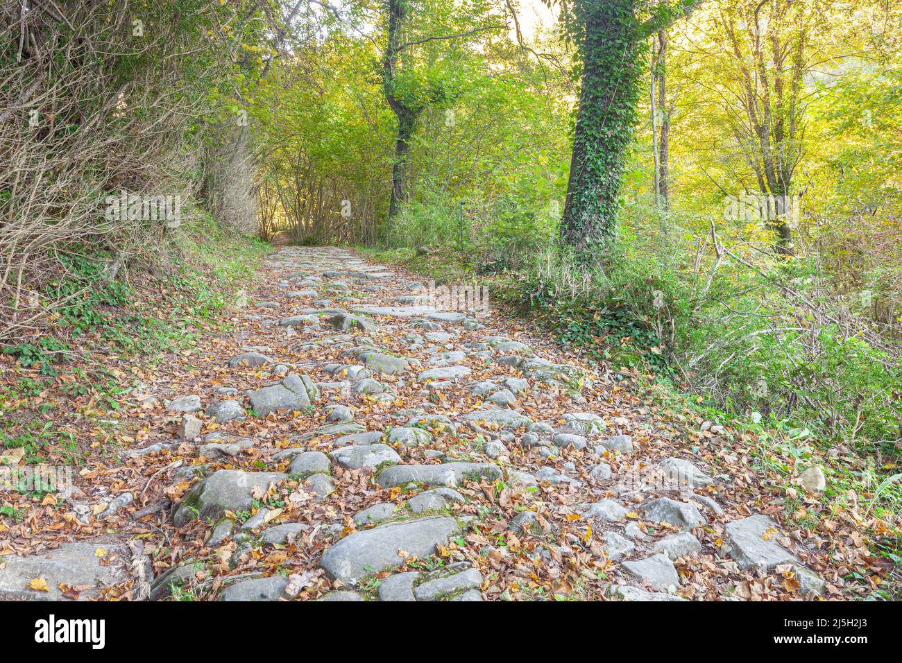 Roman way Banque de photographies et d’images à haute résolution - Alamy