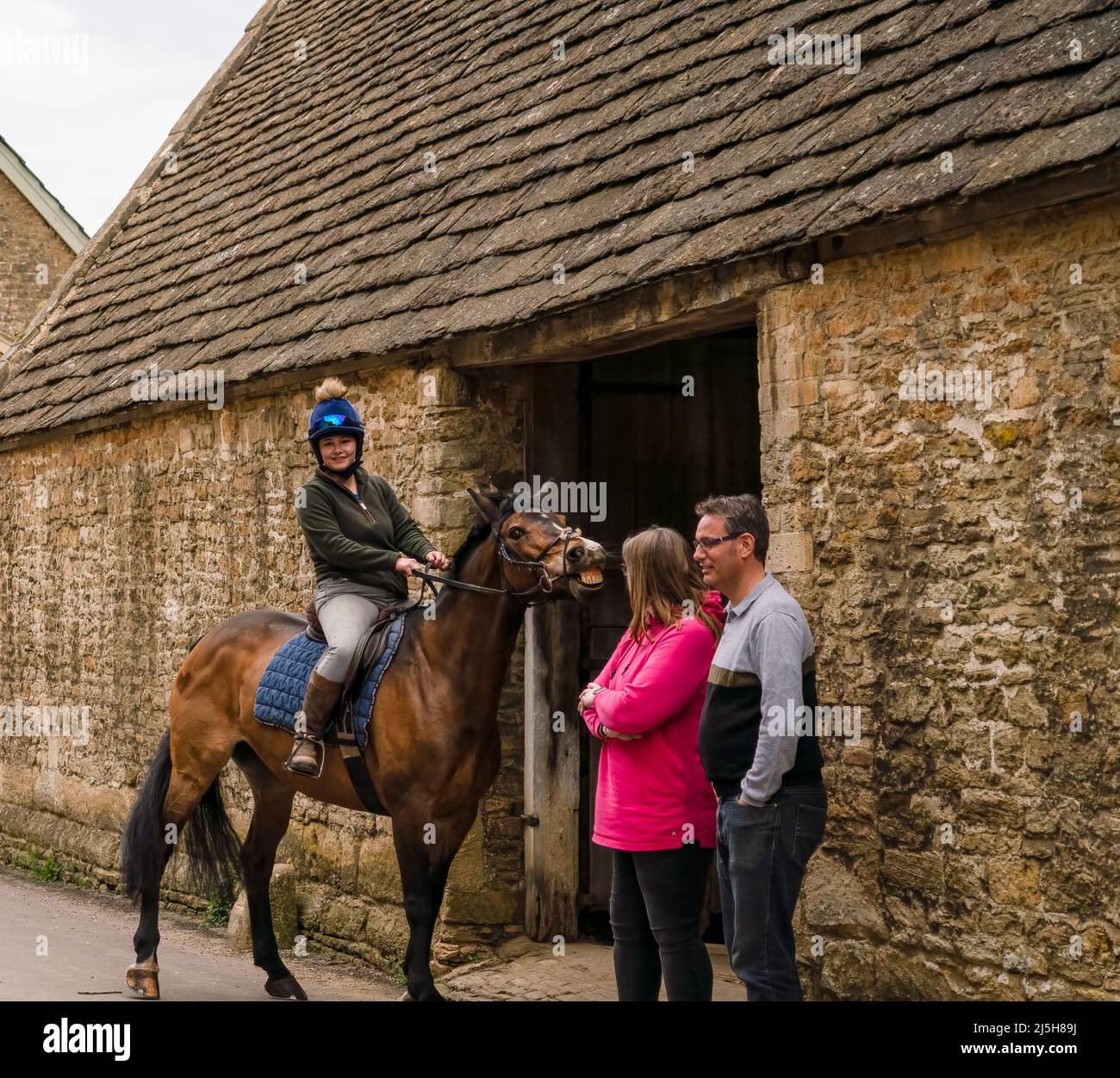 Cheval brun qui rit Banque de photographies et d’images à haute ...