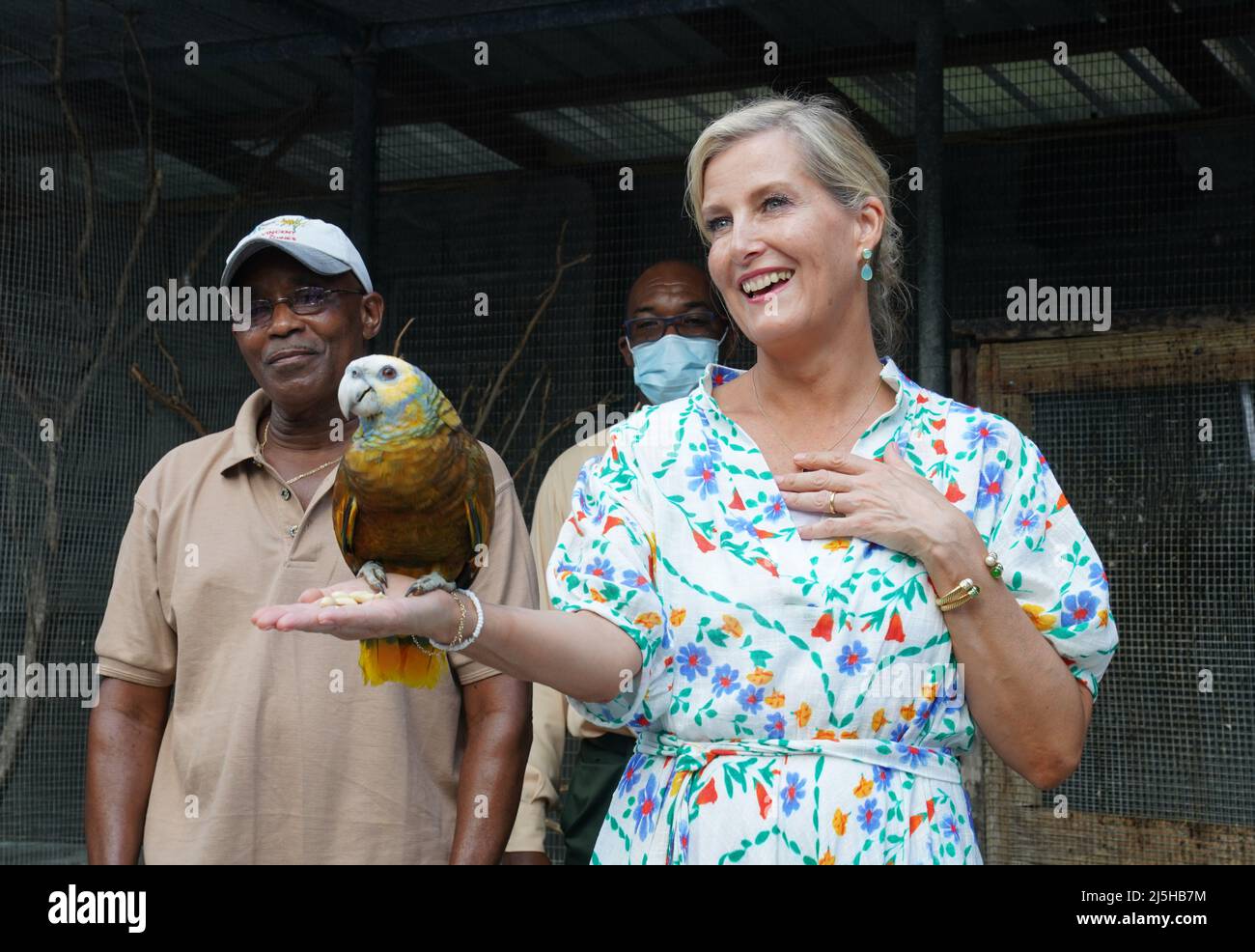La comtesse de Wessex avec l'oiseau national de Saint-Vincent, l ...
