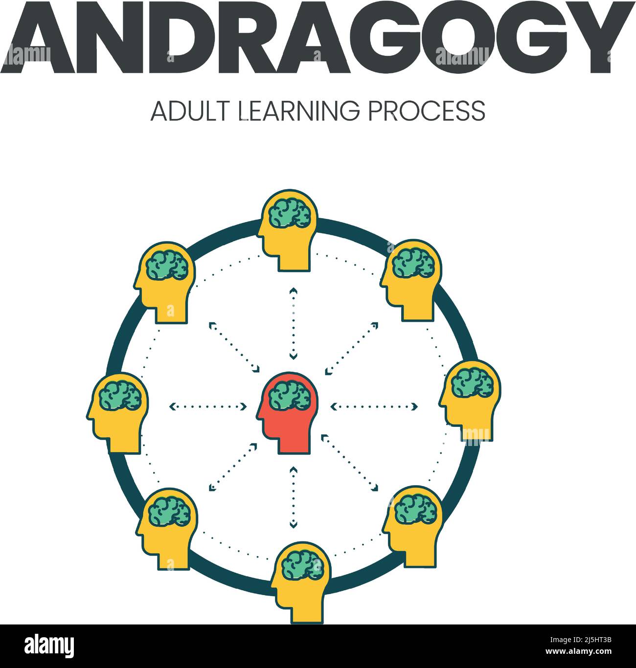 L'illustration vectorielle du concept d'andragogie avec une icône est ...