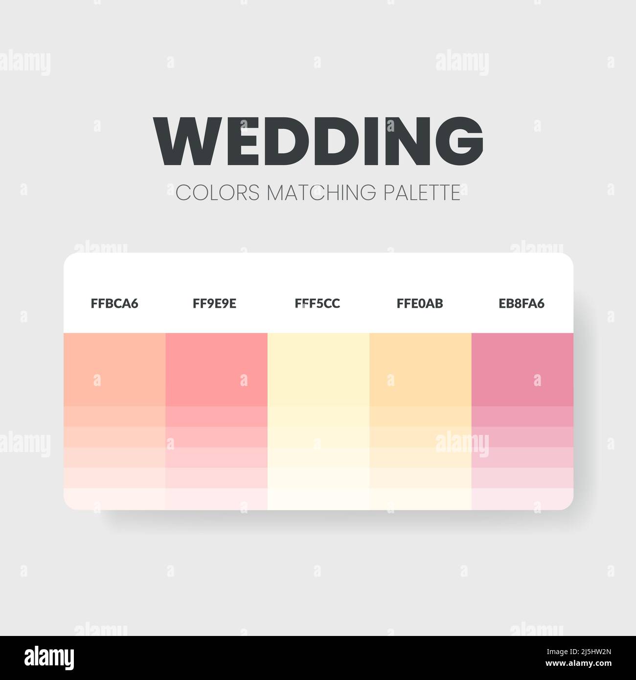 Les palettes de correspondance des couleurs ou les combinaisons de ...