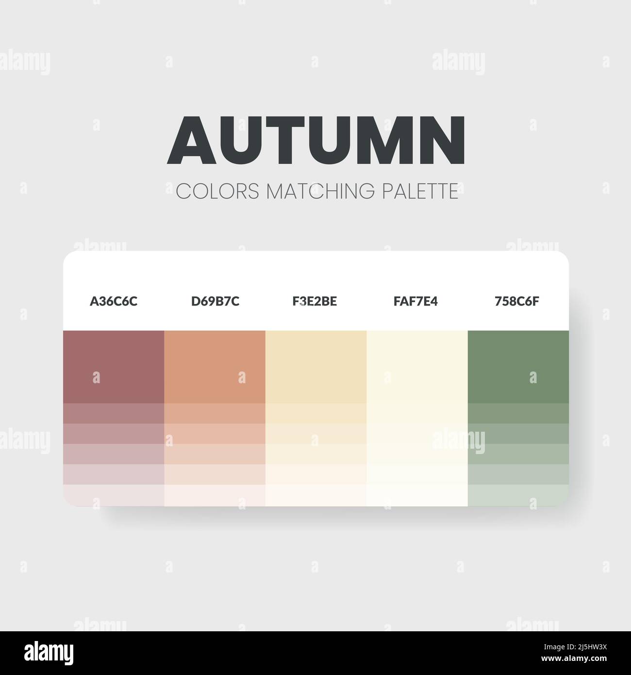 Les palettes de correspondance des couleurs ou les combinaisons de ...
