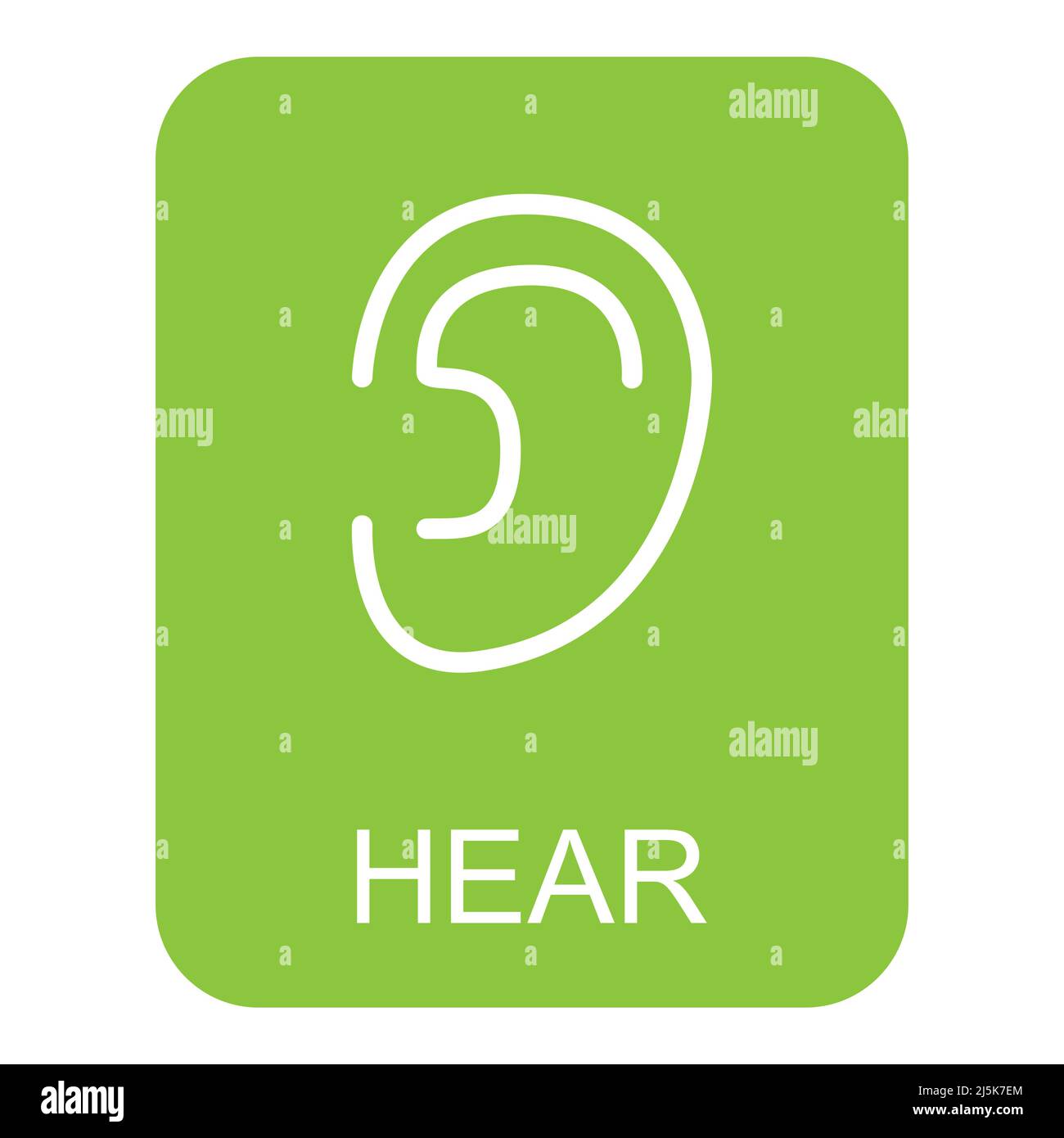 Anatomie humaine oreille plate icône, entendre la santé illustration de ...