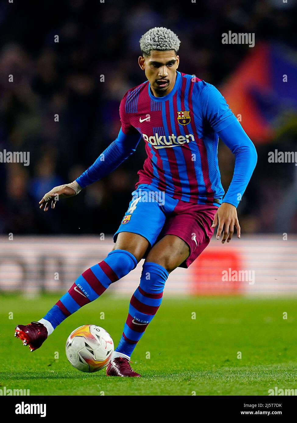 Sergio araujo Banque de photographies et d’images à haute résolution ...