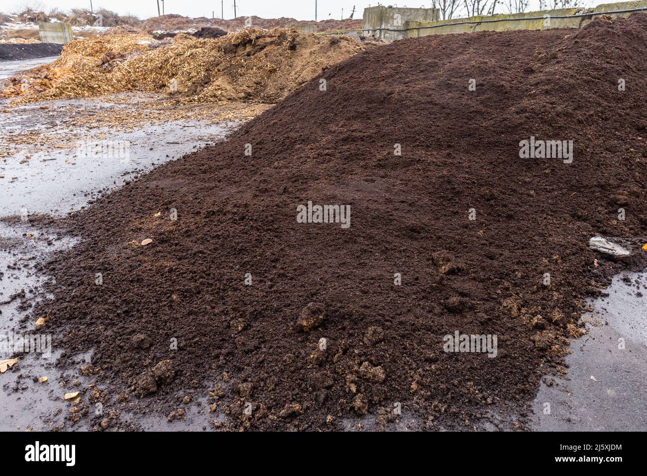 Grand tas de Marc de café utilisé à la station de tri et de recyclage ...