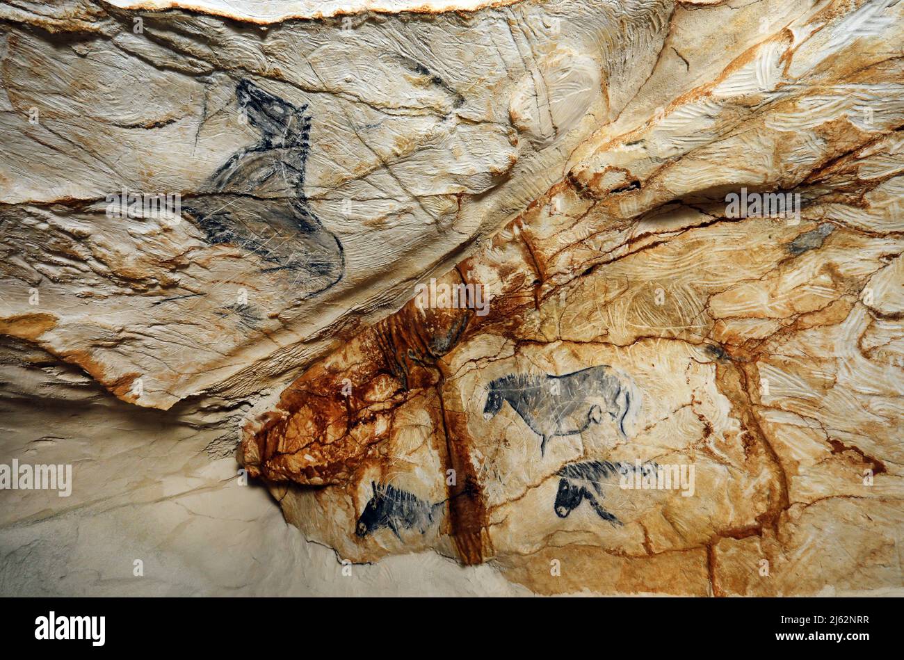 Henri cosquer grotte Banque de photographies et d’images à haute ...