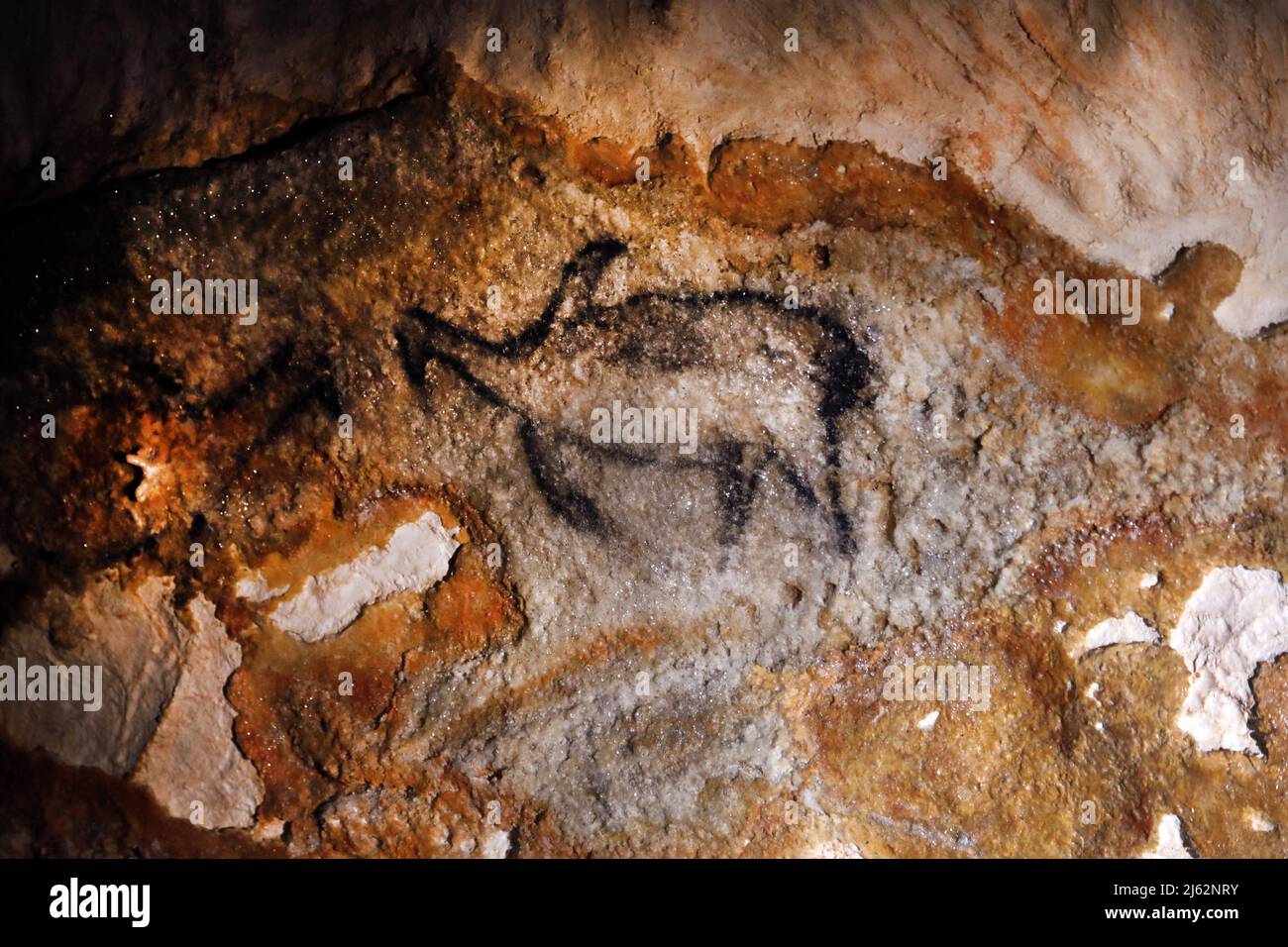 Henri cosquer grotte Banque de photographies et d’images à haute ...