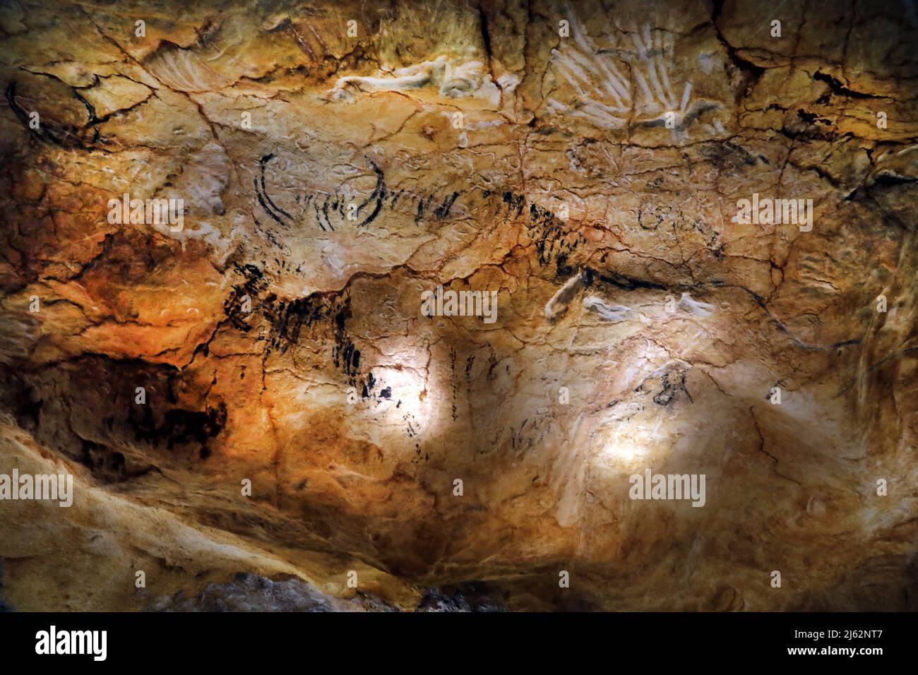 La grotte Cosquer est un Trésor archéologique submergé dans la crique ...