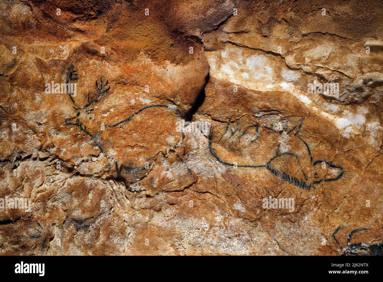 La grotte Cosquer est un Trésor archéologique submergé dans la crique ...