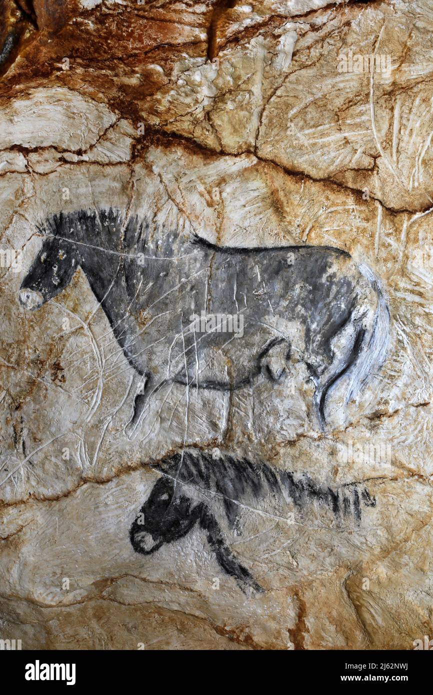 Henri cosquer grotte Banque de photographies et d’images à haute ...